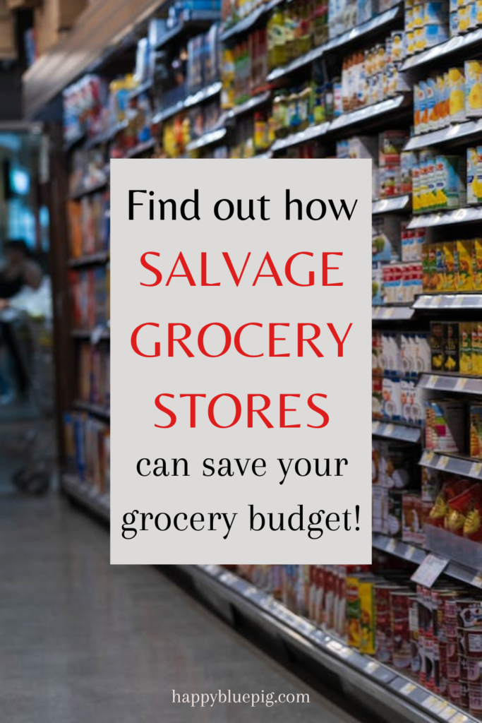 Spend Less on Groceries with Salvage Grocery Stores - Happy Blue Pig